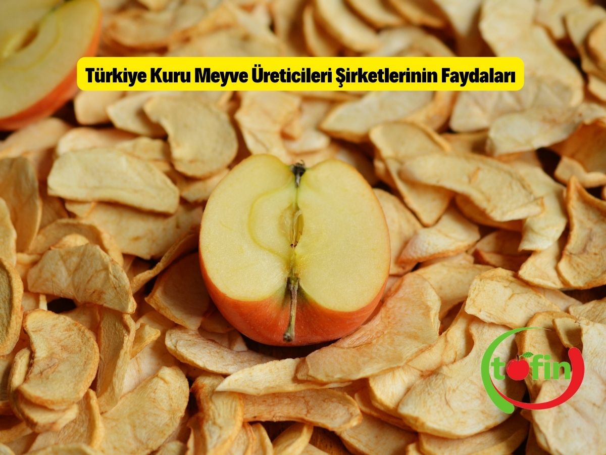 Türkiye Kuru Meyve Üreticileri Şirketleri - TOFiN FOOD